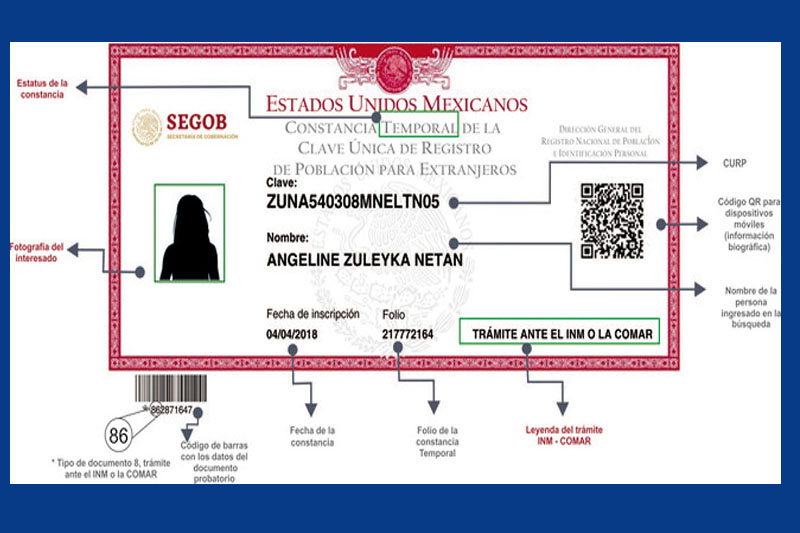 Senado aprobó nueva CURP con fotografía y huellas digitales. – La ...